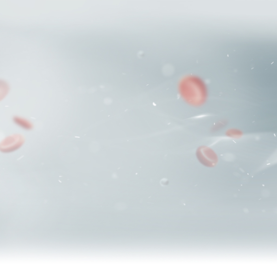 Apollo4 Lite | Ambiq